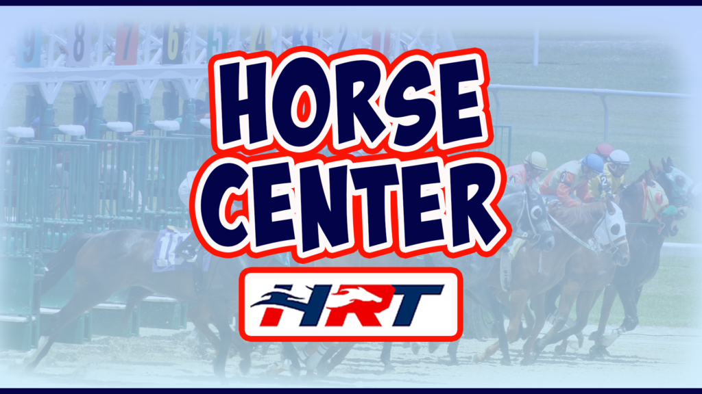 Q&A with Sara Elbadwi of Horse Racing Nation and Outrun the Odds ...