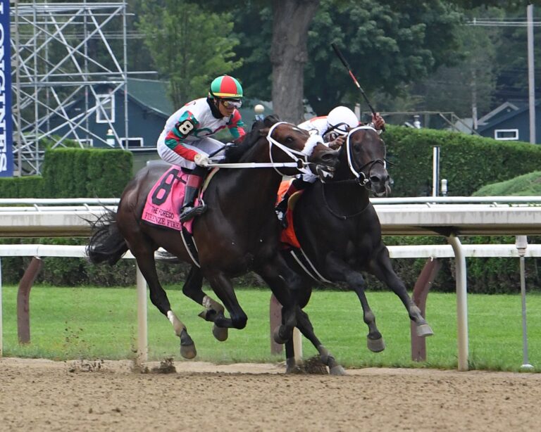 ON ANY GIVEN SATURDAY THE FASTEST FOREGO EVER - Horse Racing Today