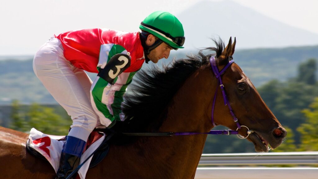 2022 Melbourne Cup Picks - Horse Racing Today