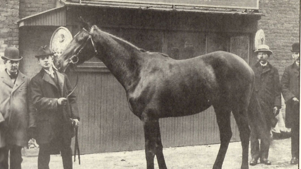 The Modern Pedigree for Hall of Fame Filly IMP - Horse Racing Today